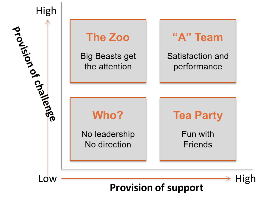 How to build a high performance team | Møller Institute